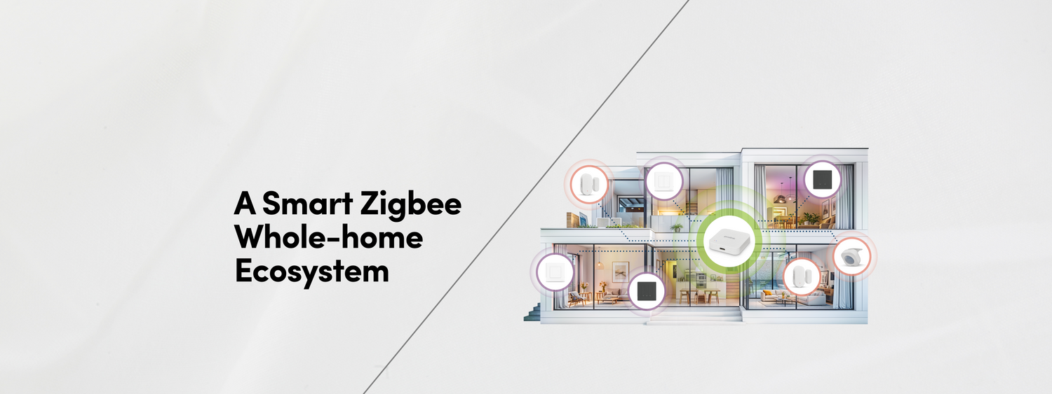 What is Zigbee? A Beginner's Guide to Smart Home Connectivity – Prolink