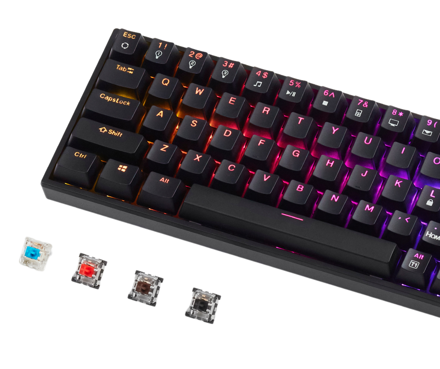 Prolink | Desmodus Mechanical Gaming Keyboard