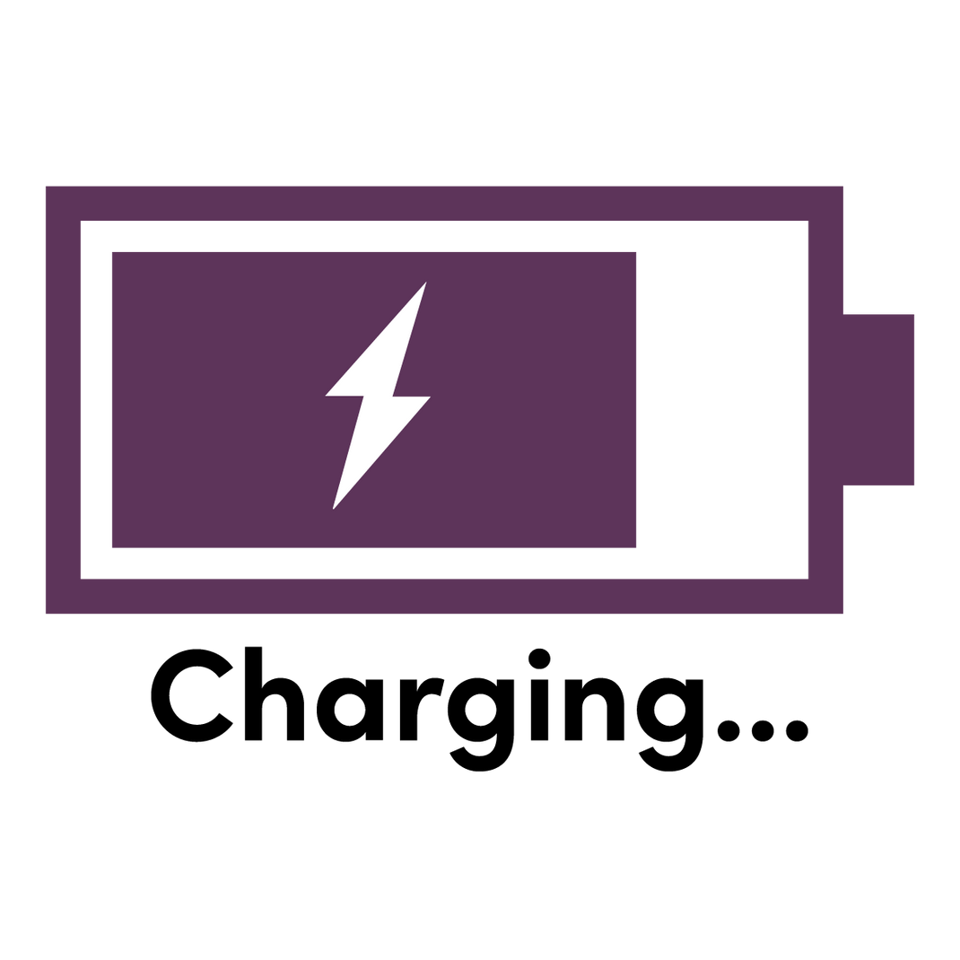 Prolink | External Battery Charger (PEC)