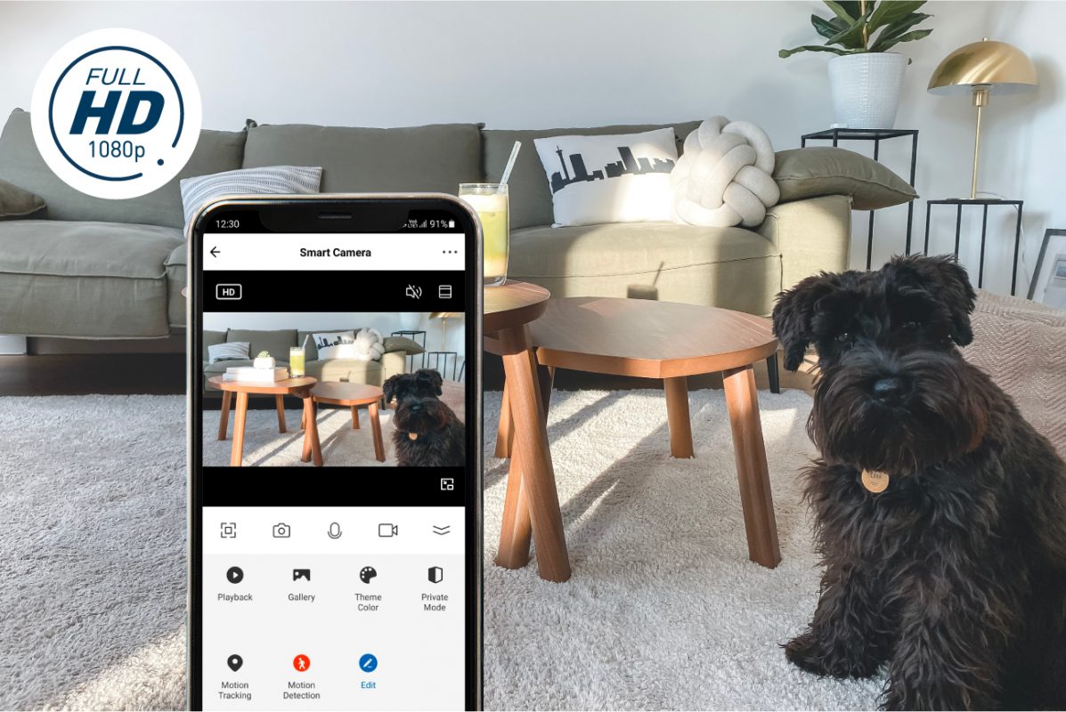 Prolink | Full-HD Wireless IP Camera (Pan/Tilt)